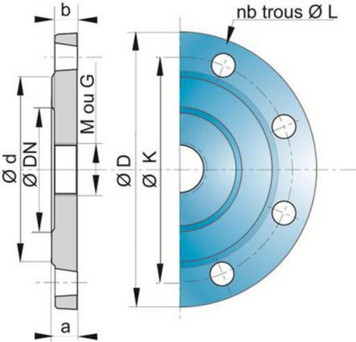Dn 250 x 2" blindflens blå epoxy pn10 - blindflens med in...